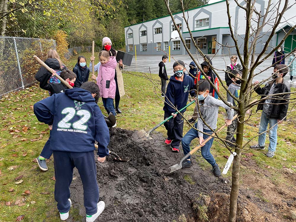 Hampton Park Elementary School | EmperorTrade